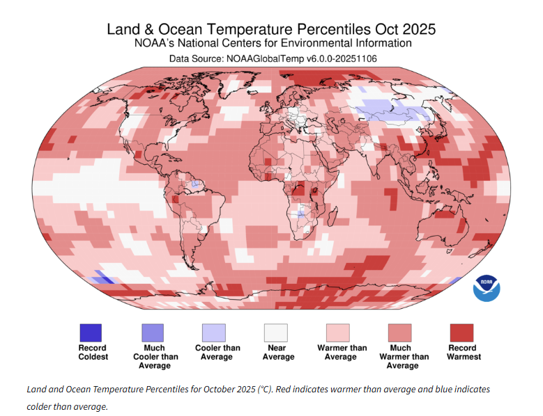 NOAA Global Climate Report | MTS Insights